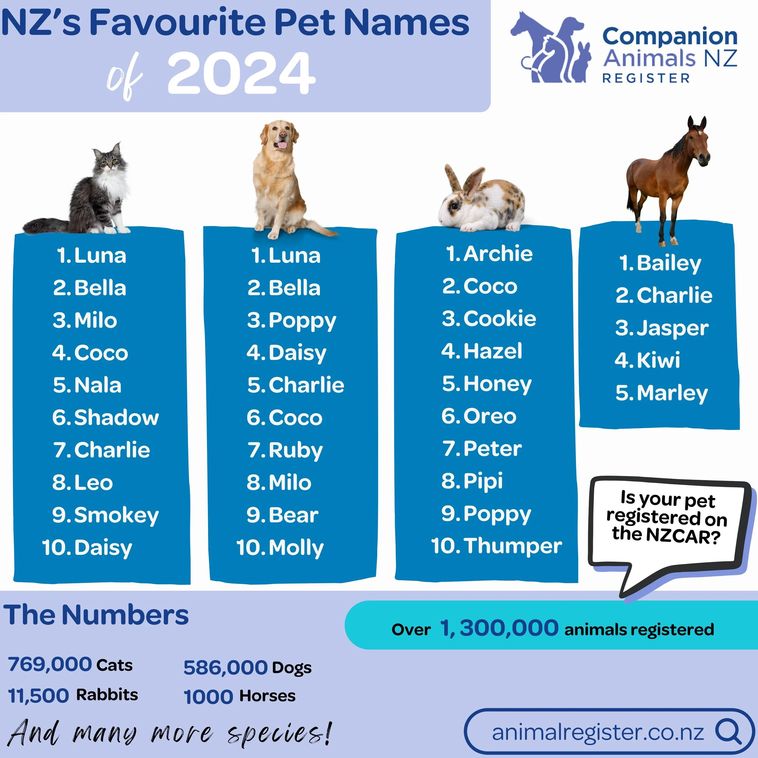 Luna takes the top spot again as New Zealand’s most popular pet name ...