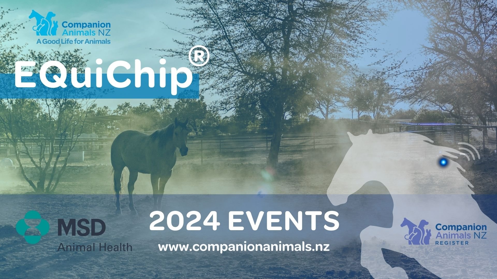NEWS AND EVENTS — Companion Animals New Zealand