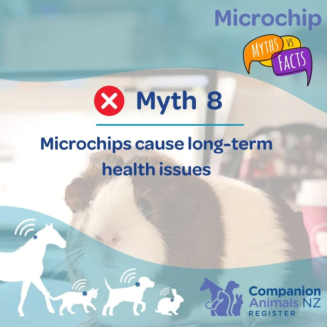 Microchip myth-busting! — Companion Animals New Zealand