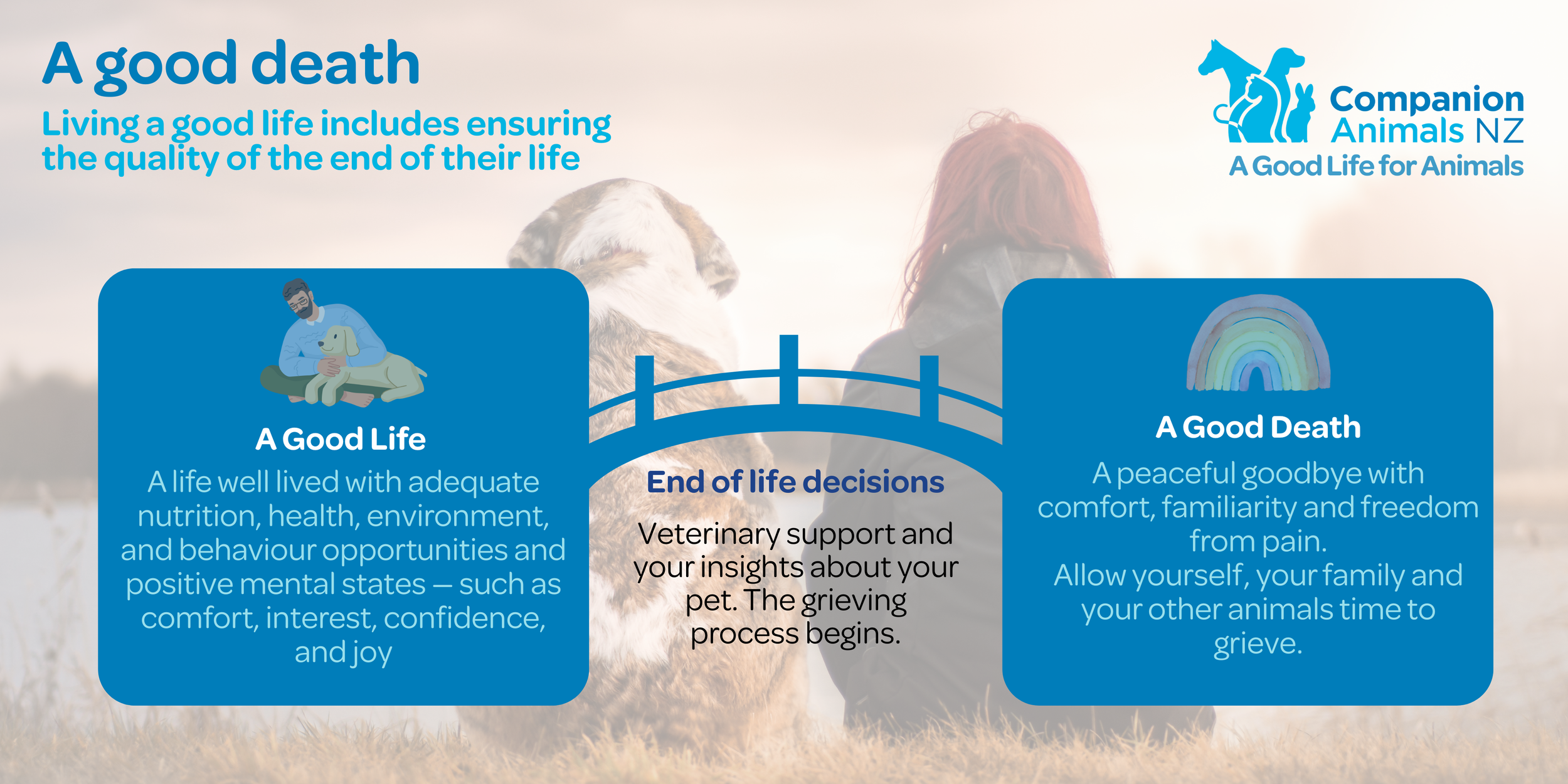 Time to say goodbye: Ensuring a Good Death for our companion animals ...