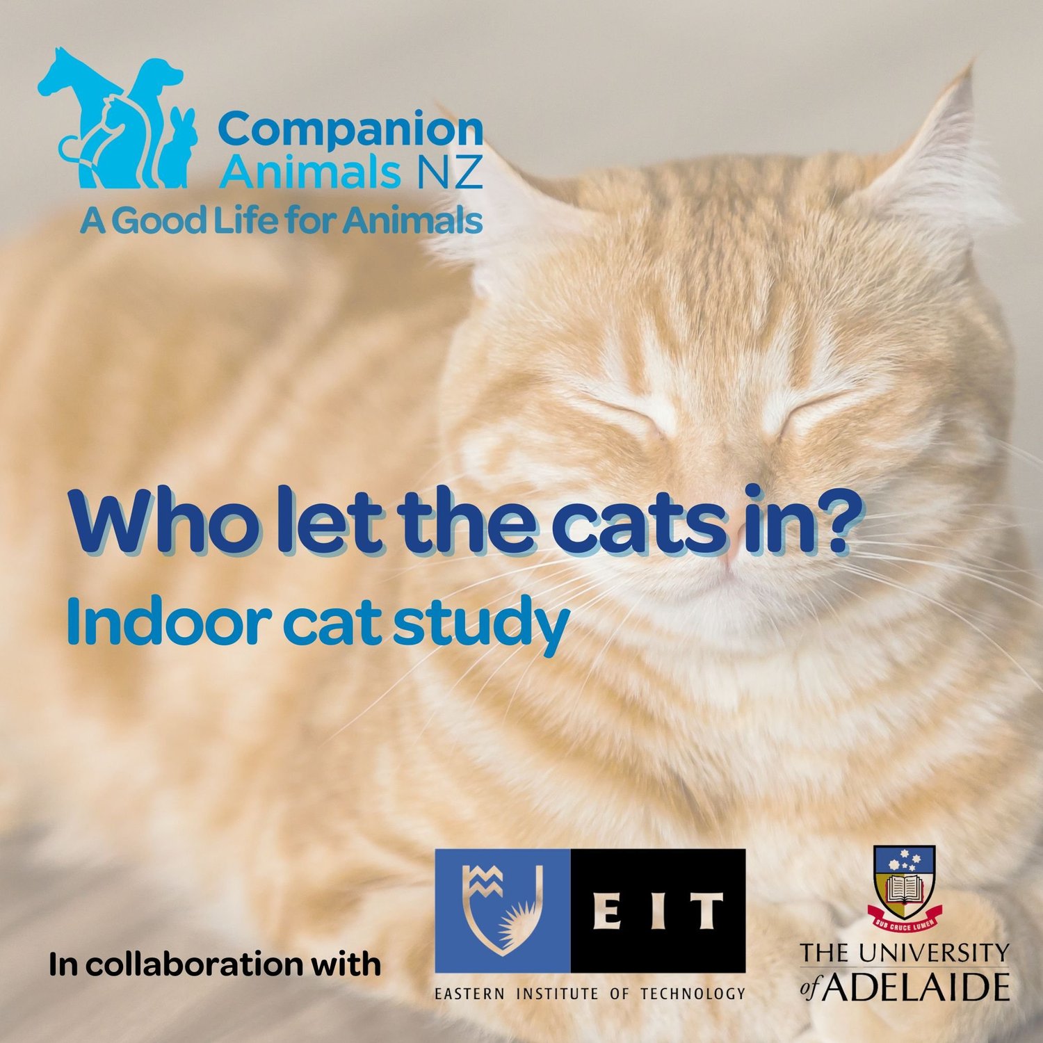Current research — Companion Animals New Zealand