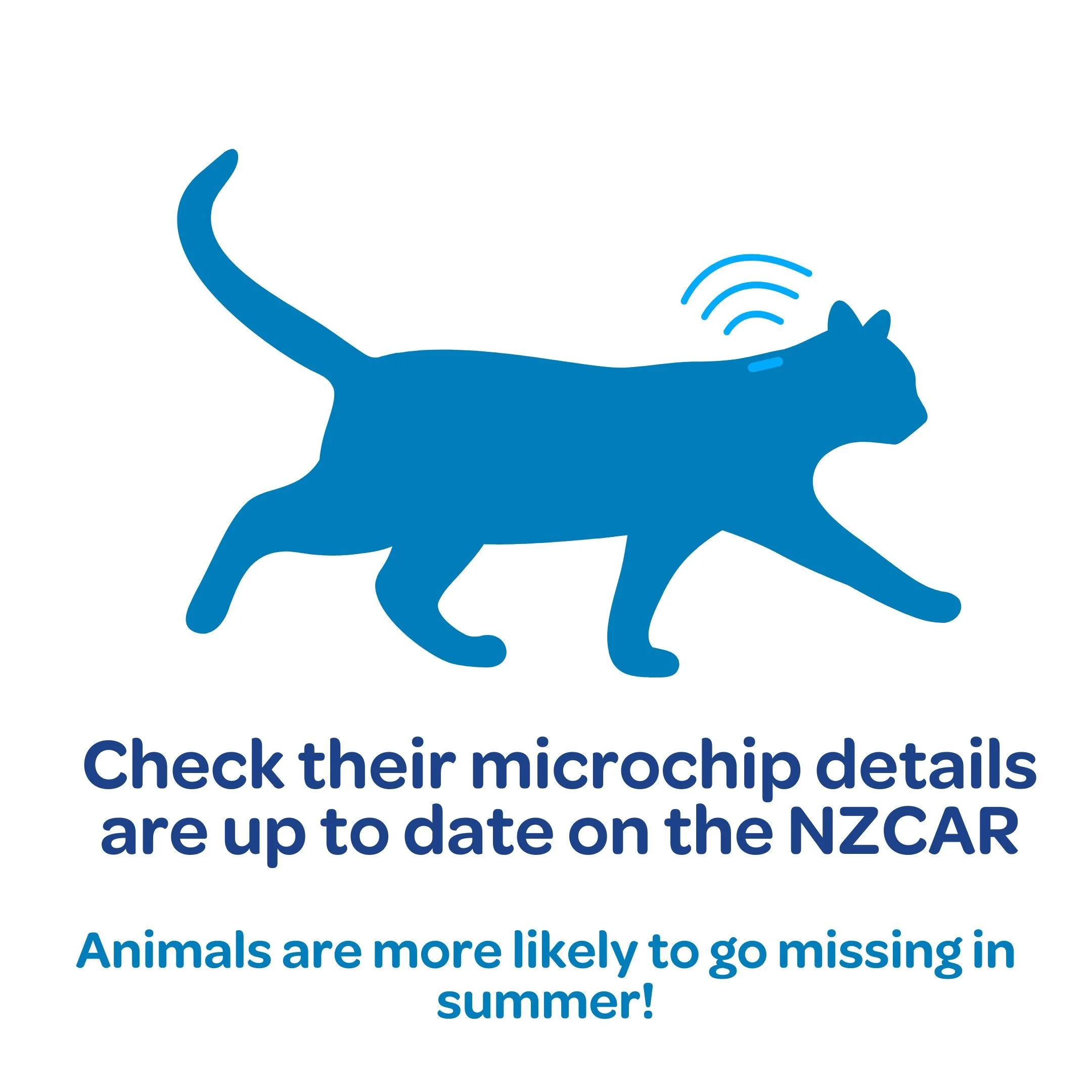 Summer welfare tips — Companion Animals New Zealand