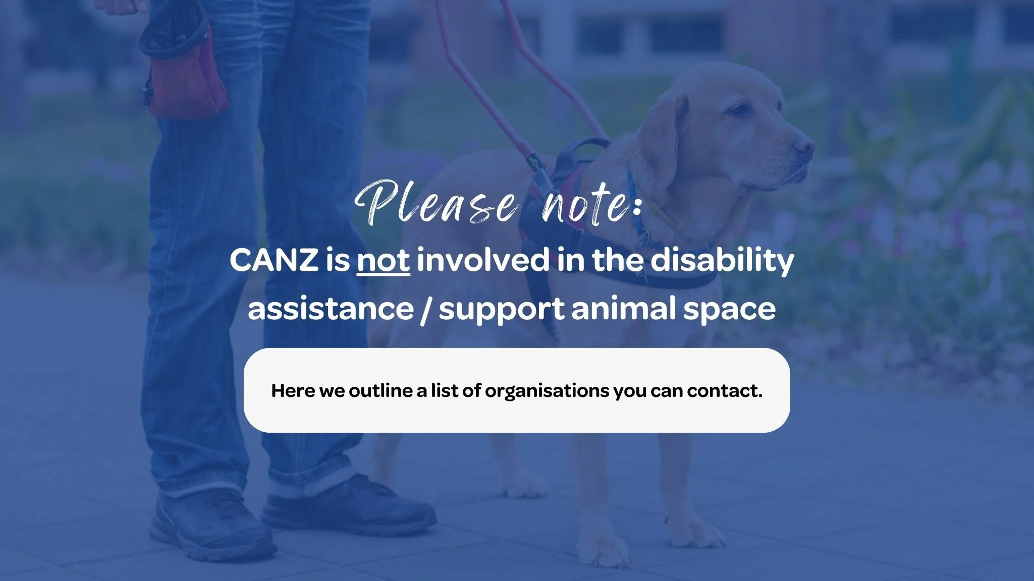 Disability assist dogs — Companion Animals New Zealand