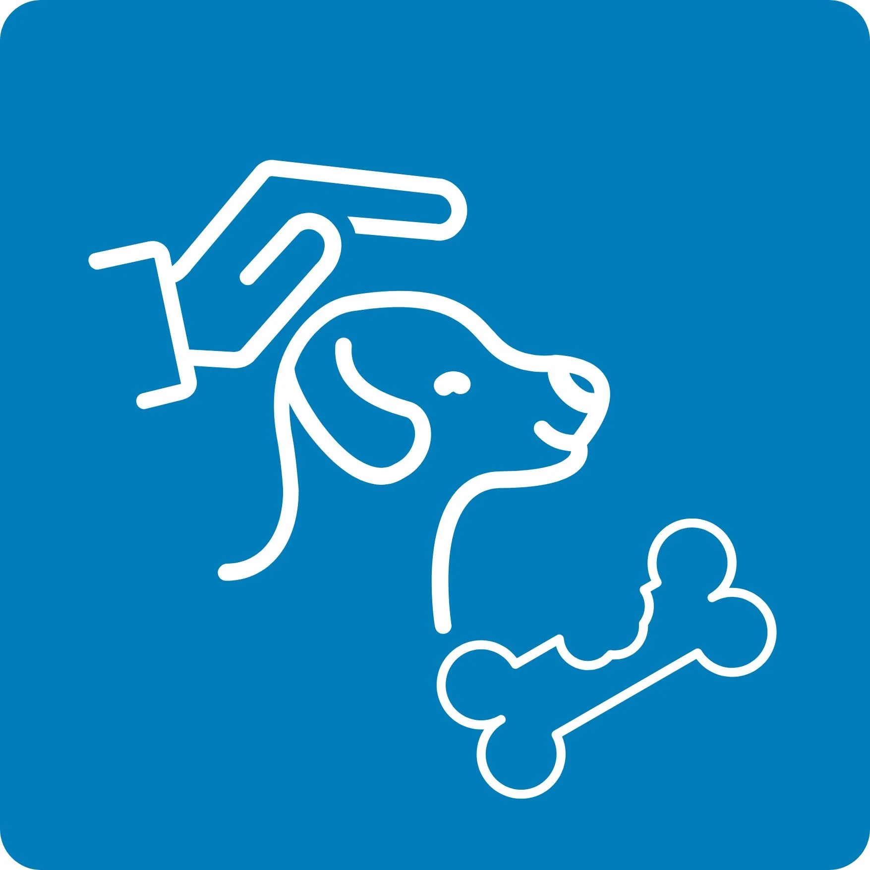 Fireworks frighten pets — Companion Animals New Zealand