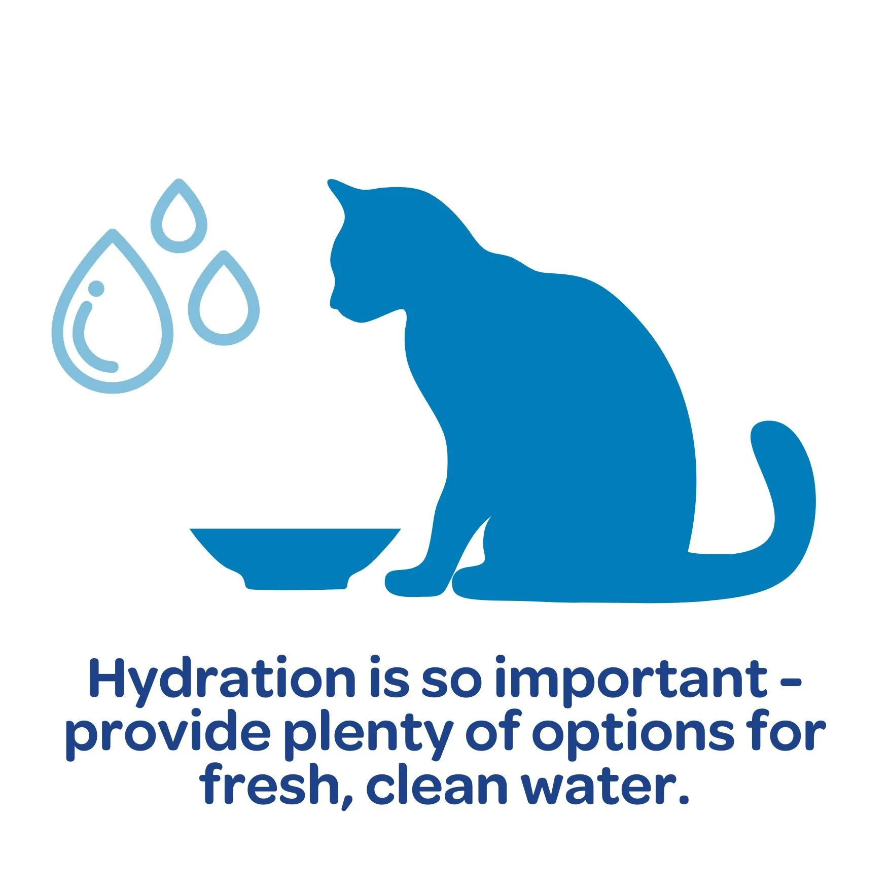 Summer welfare tips — Companion Animals New Zealand