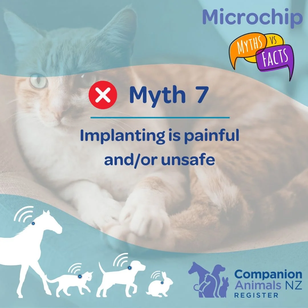 Microchip myth-busting! — Companion Animals New Zealand