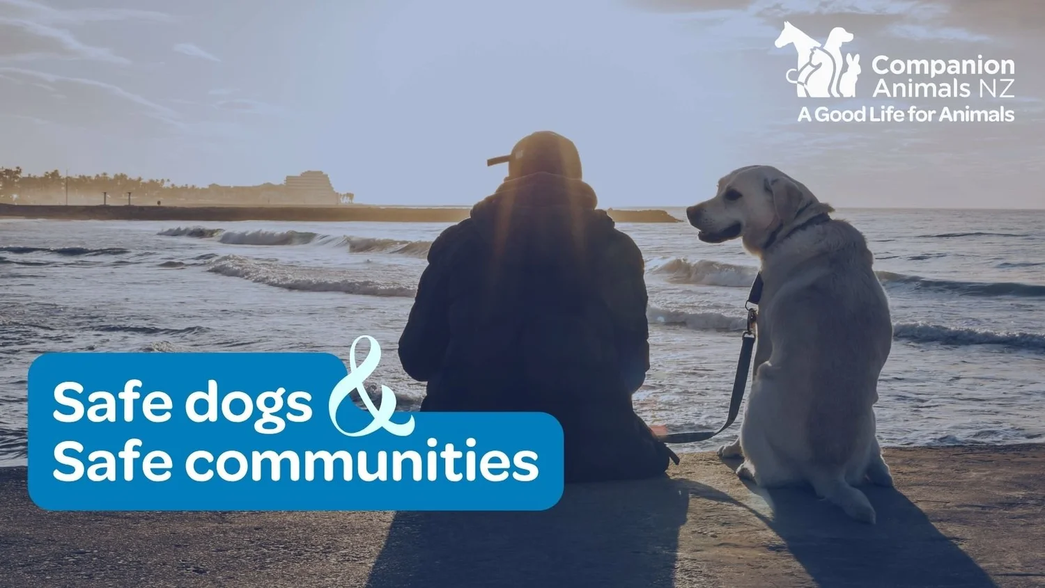 Why New Zealand’s Dog Control Act is being reviewed — Companion Animals ...
