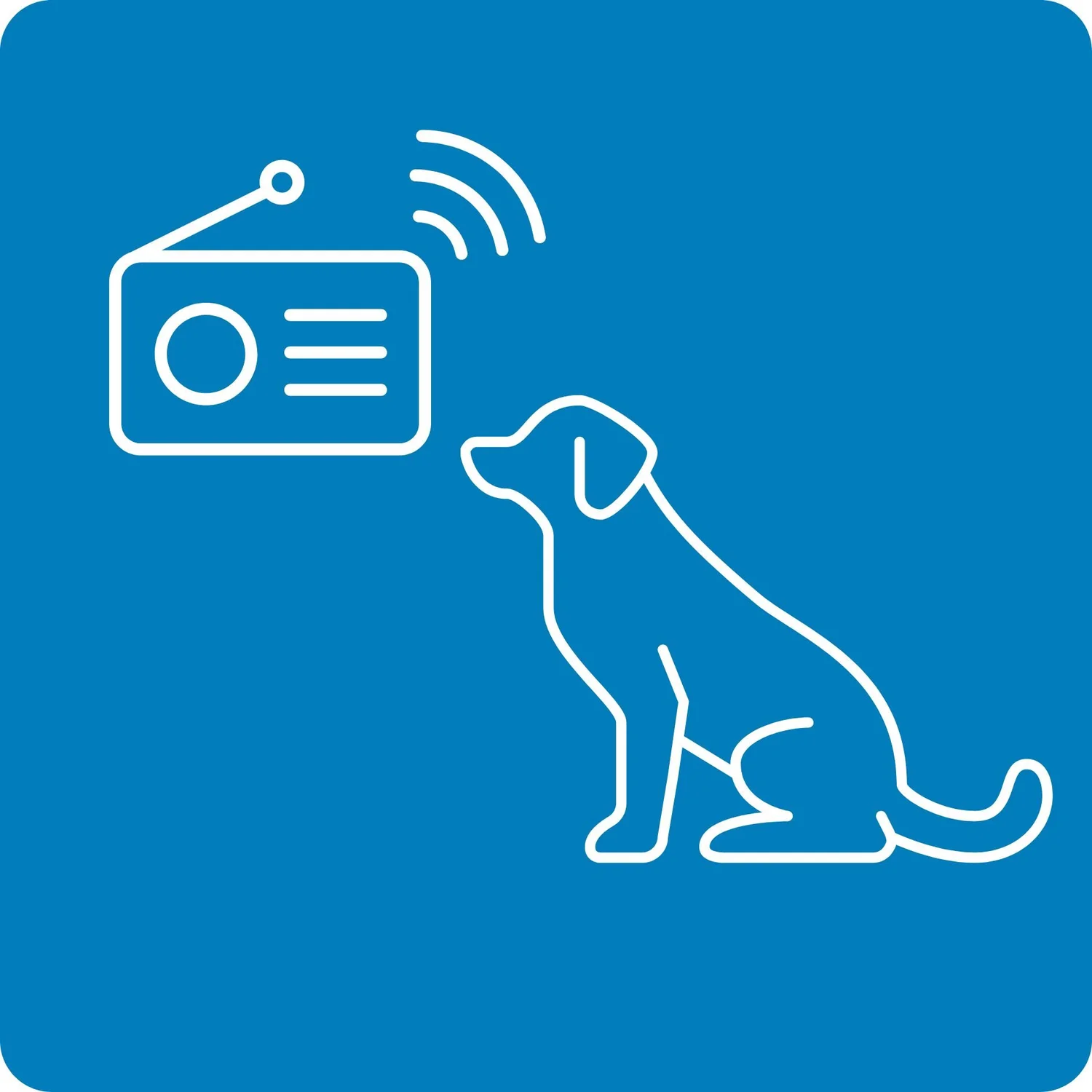 Fireworks frighten pets — Companion Animals New Zealand