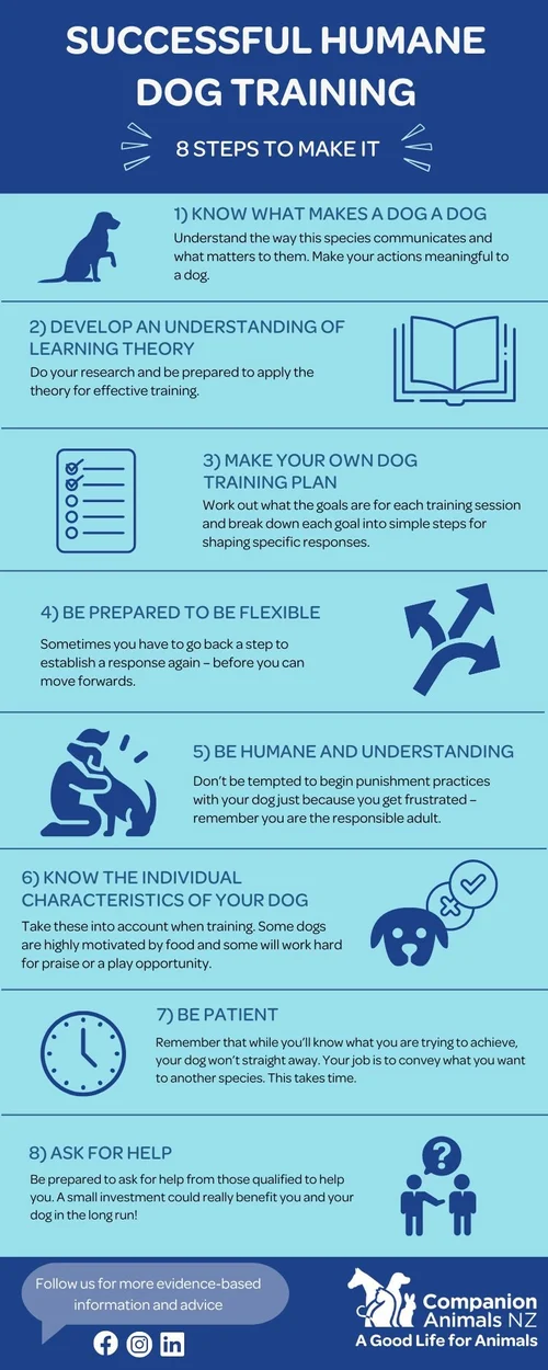 The science of dog training: three key building blocks — Companion ...