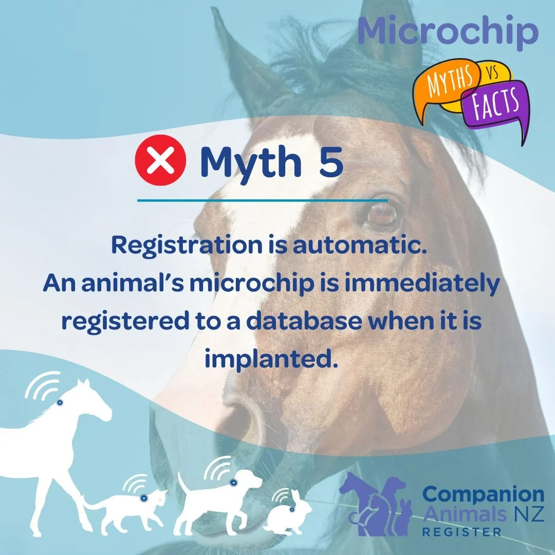 Microchip myth-busting! — Companion Animals New Zealand