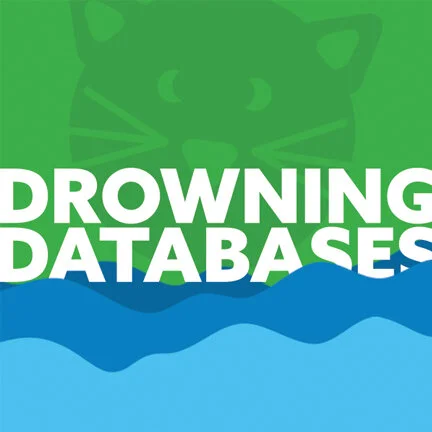 Drowning Statistics — Meow Meow Foundation