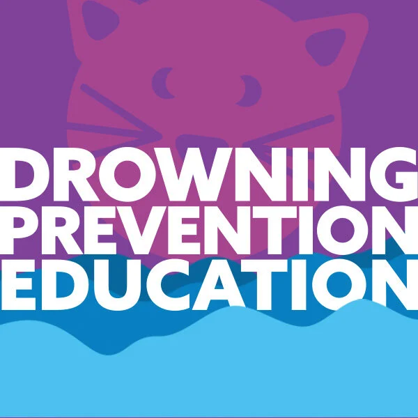 Drowning Statistics — Meow Meow Foundation