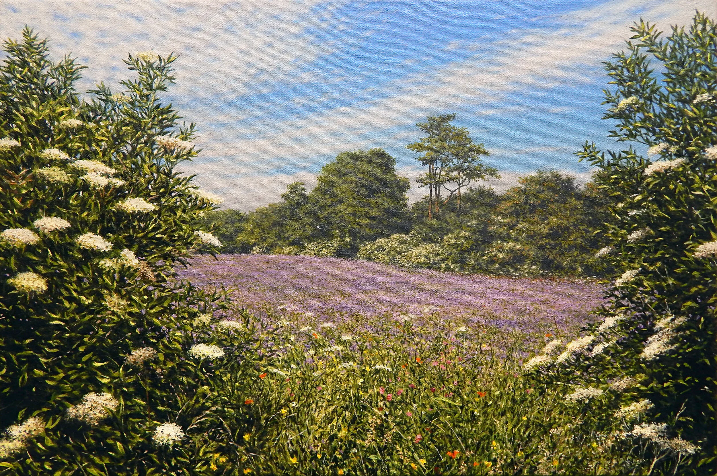 Steve Whitehead | Modern Artists Gallery | Contemporary Fine Art ...