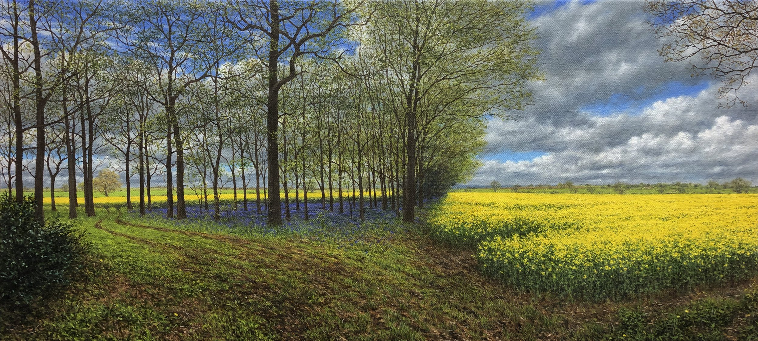 Steve Whitehead | Modern Artists Gallery | Contemporary Fine Art ...