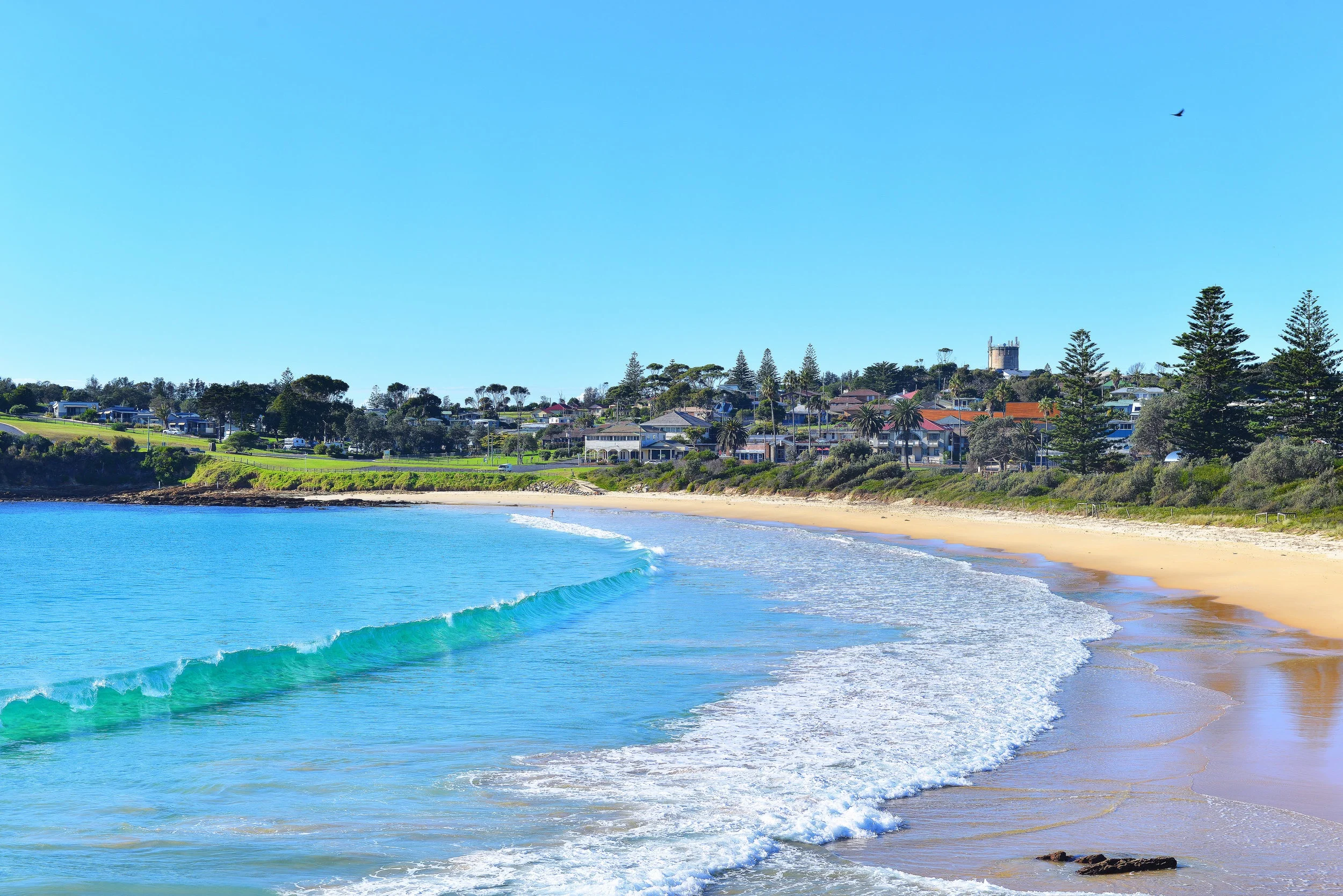 Food and Wine — Visit Bermagui