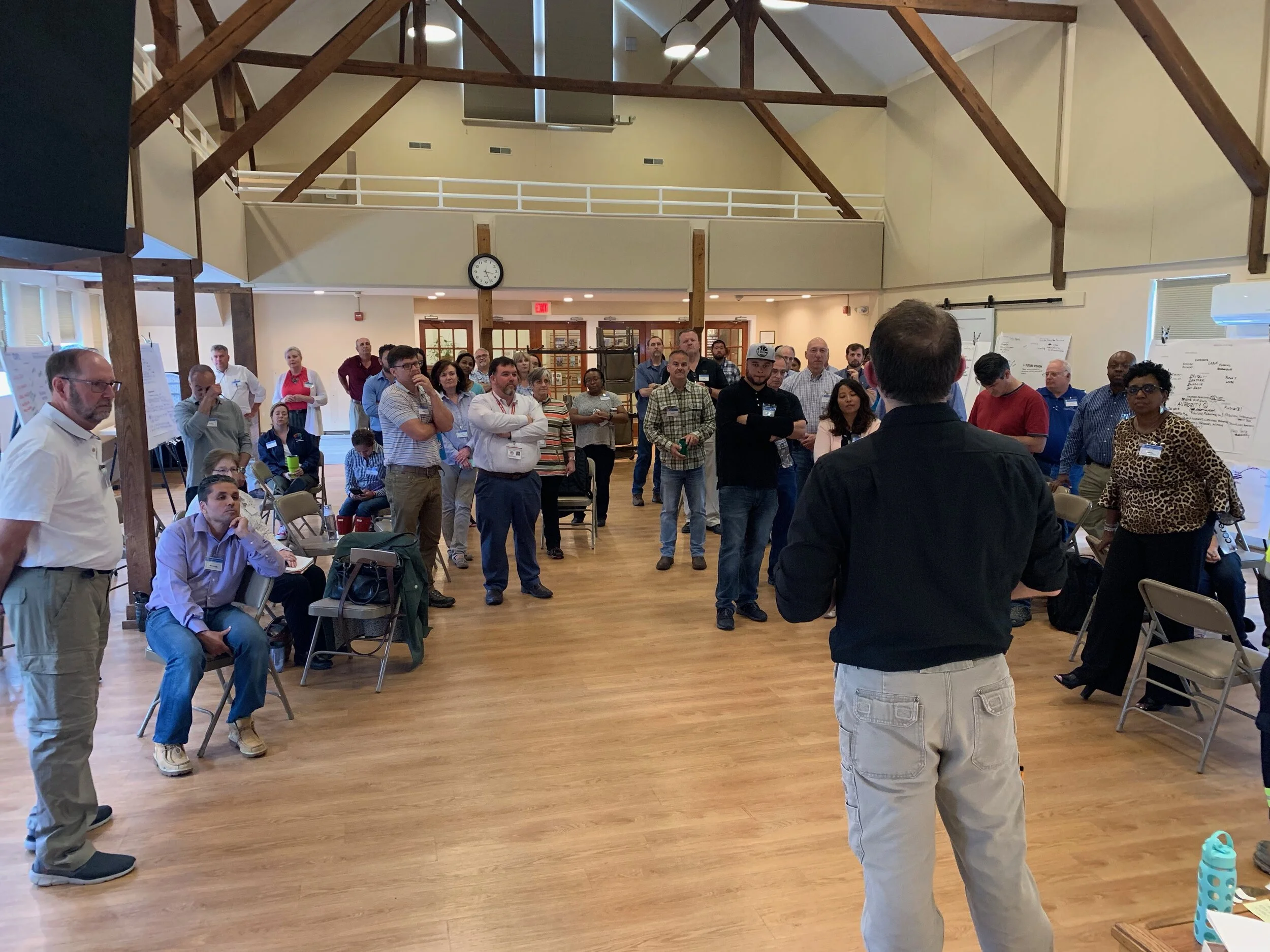 Visual Facilitation — Lizard Brain