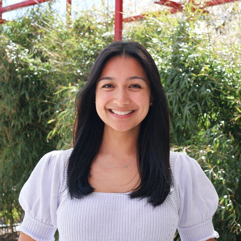 Staff — Massachusetts Advocates for Children