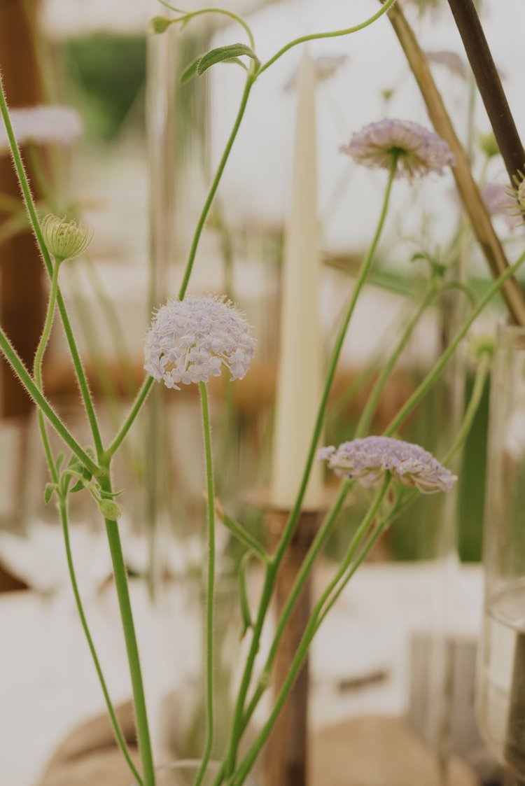 Hannah & Stuart at a Private Residence — A Garden Wedding in the Hudson ...