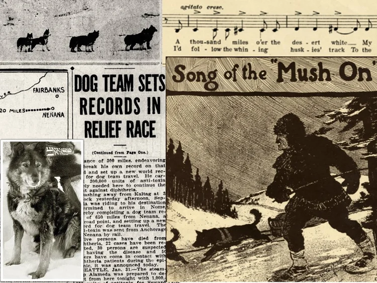 The Nome Serum Run Centennial — Cook Inlet Historical Society