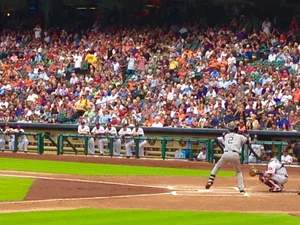 What MLB Games Can My Dog Attend 2025? — PupCorn Plus