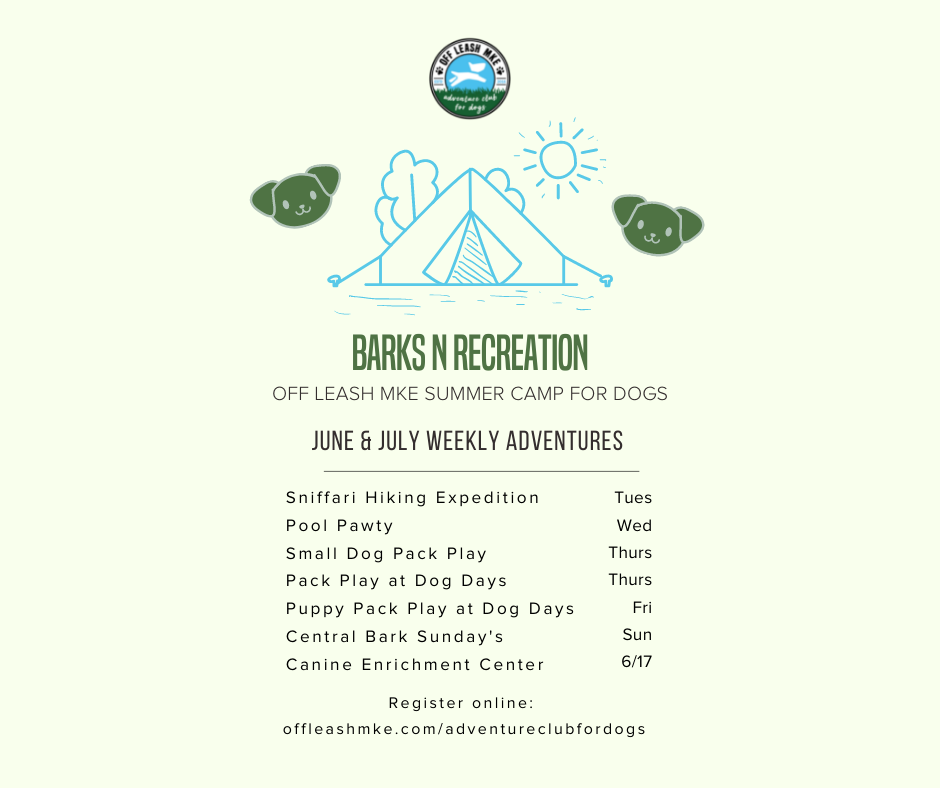 Barks N Rec Summer Camp for Dogs — Off Leash MKE | Adventure Club for Dogs