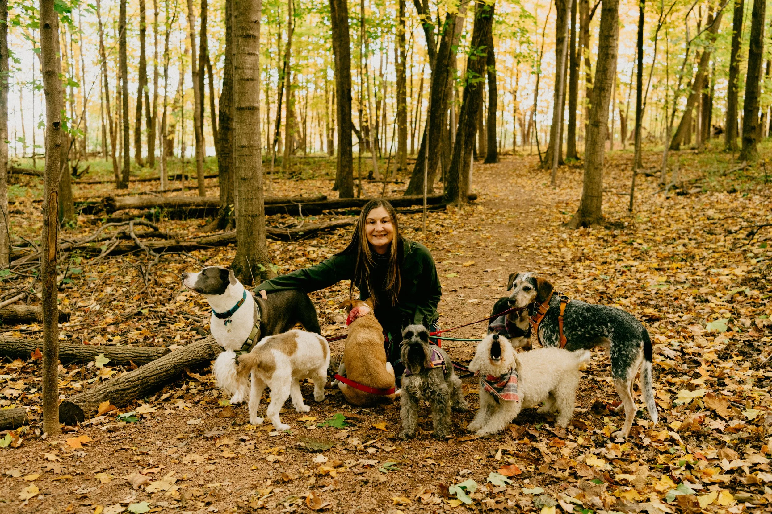 Professional Pet Care Dog Walking Services Near Me Off Leash MKE professional-pet-care-dog-walking-services-near-me-off-leash-mke