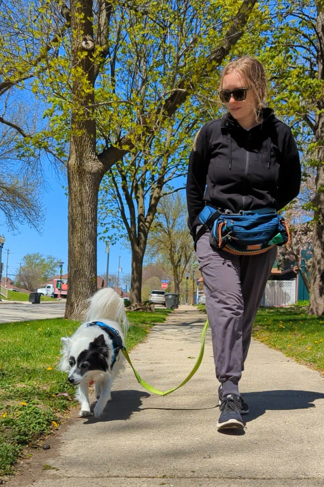 Award-Winning Dog Walking in Milwaukee | Fear Free Care | Off Leash MKE ...
