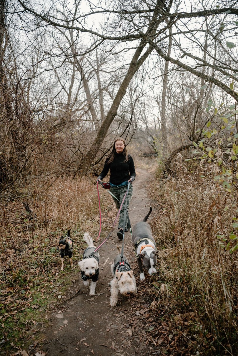Our Favorite Trails to Hike with Dogs — Off Leash MKE | Adventure Club ...