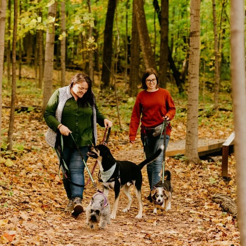 Off Leash MKE - Dog Walking, Hiking & Adventures - Milwaukee & Ozaukee ...