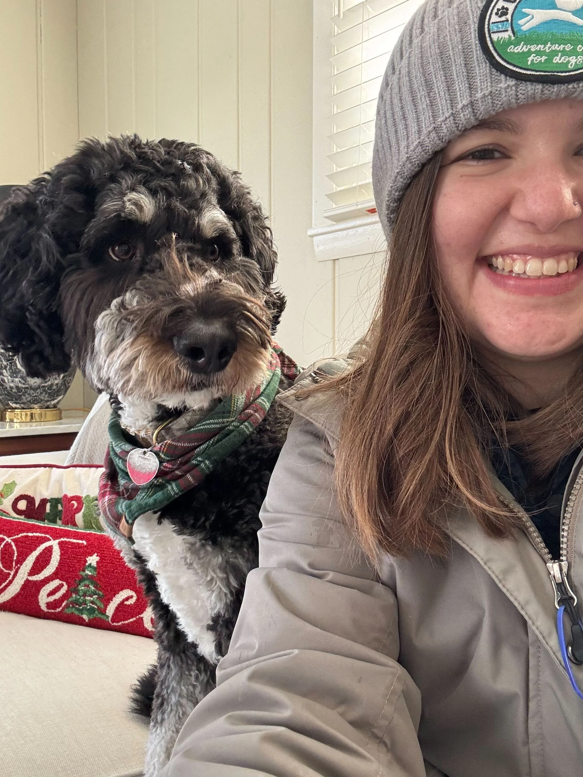 dog training — Off Leash MKE | Adventure Club for Dogs