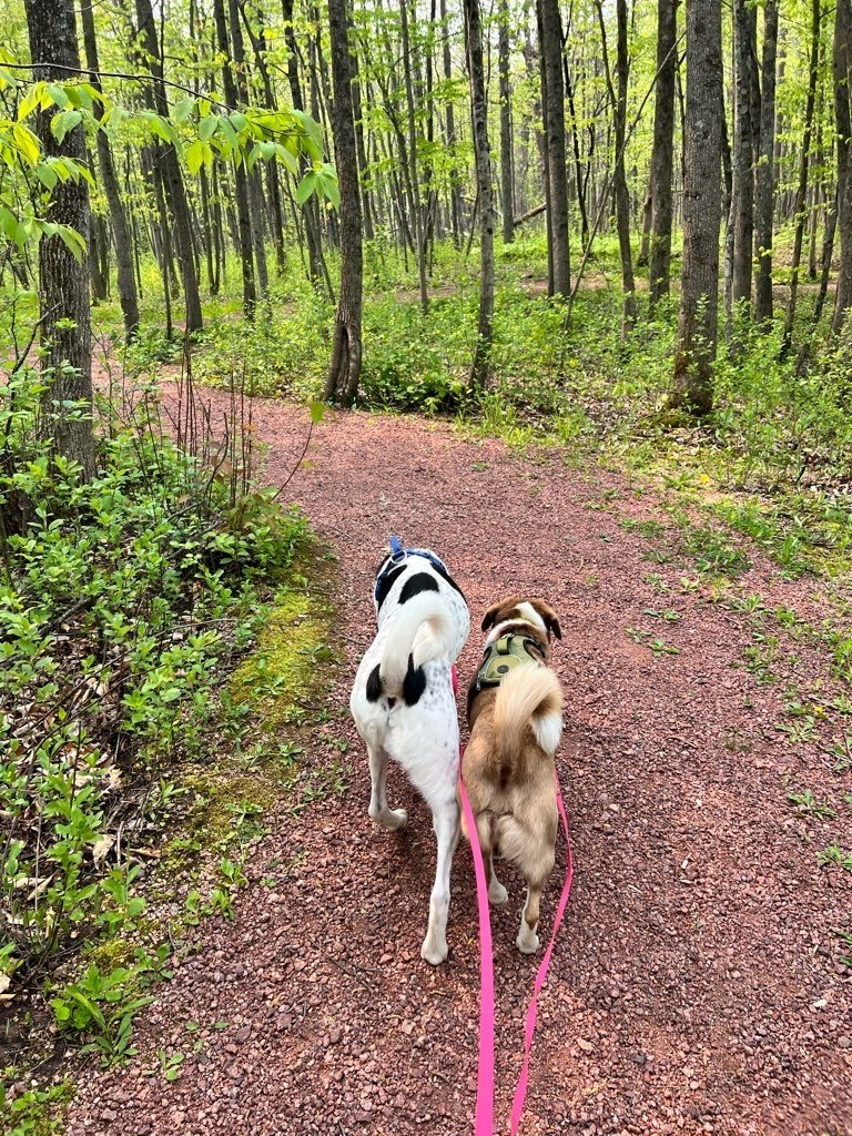 Off Leash MKE’s Tips for the Trails! — Off Leash MKE | Adventure Club ...