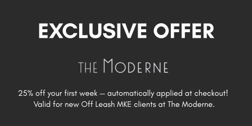 Off Leash MKE: Dog Walking & Off-Leash Adventures at The Moderne — Off ...