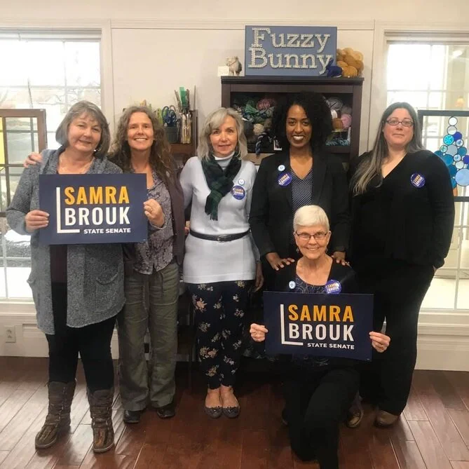 Samra Brouk For State Senate