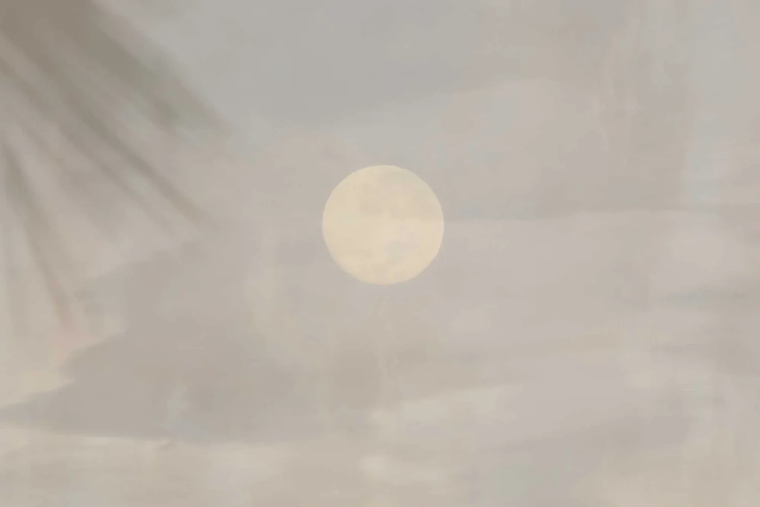 How To Use The Full Moon In Cancer To Shed The Year — Two Wander x ...