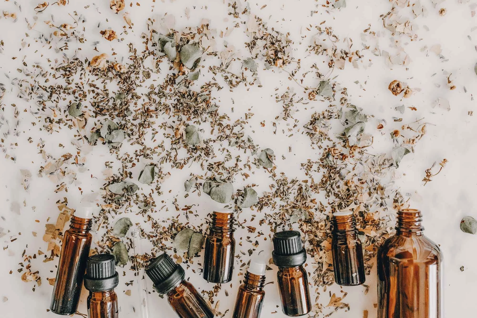 How To Make Flower Essences! — Two Wander x Elysium Rituals