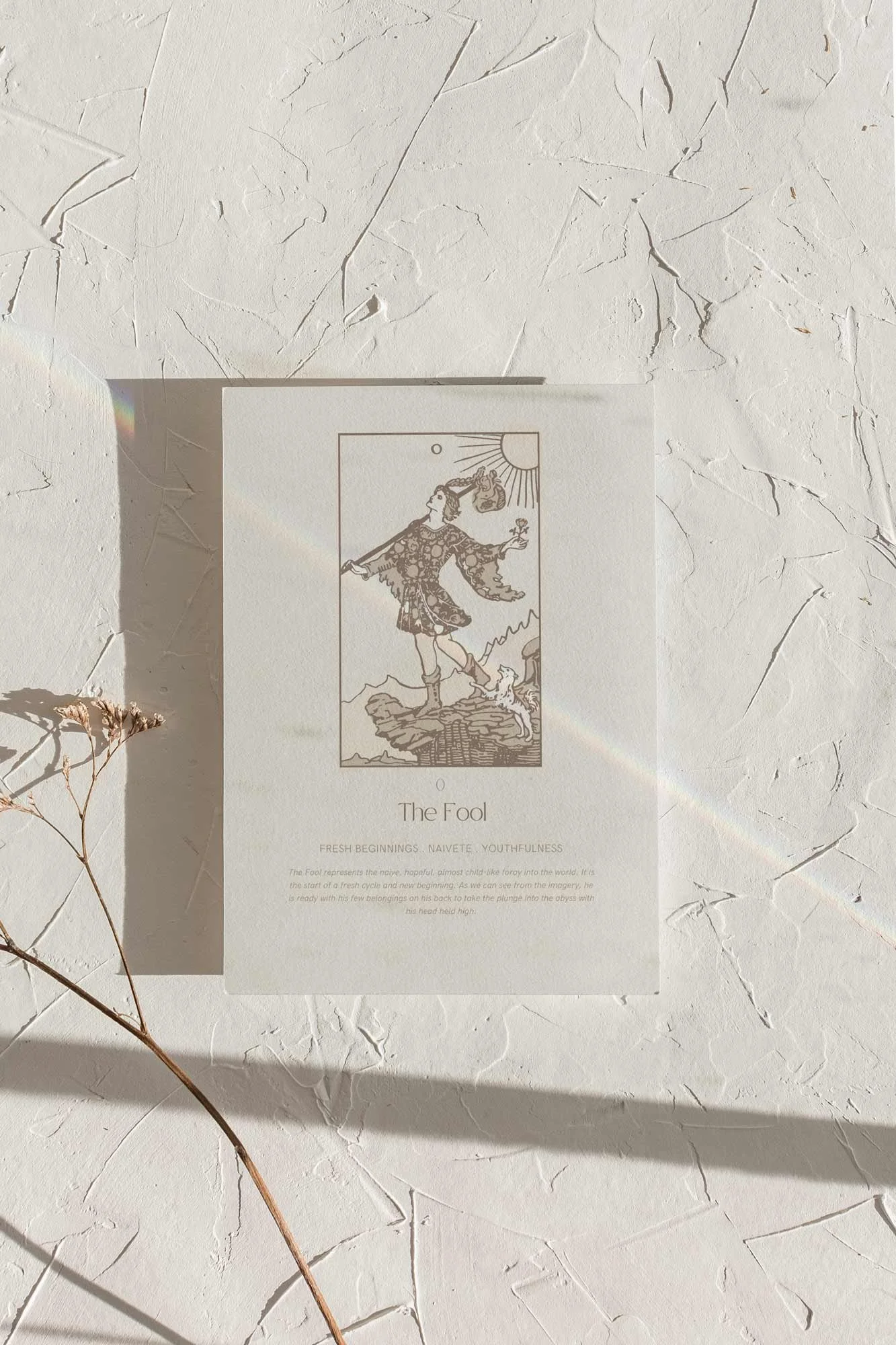 The Chariot Tarot Meaning — Two Wander x Elysium Rituals