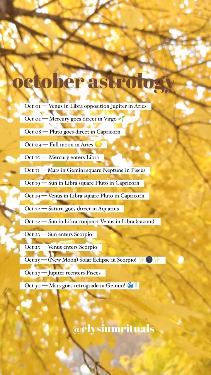 Two Wander X Elysium Rituals Spiritual Wellness Mystical Musings