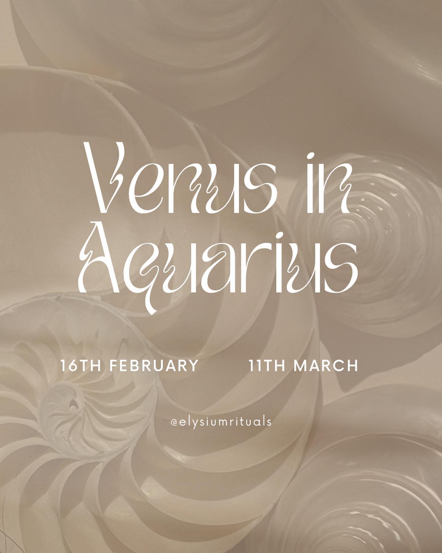 All Workshops — Two Wander x Elysium Rituals