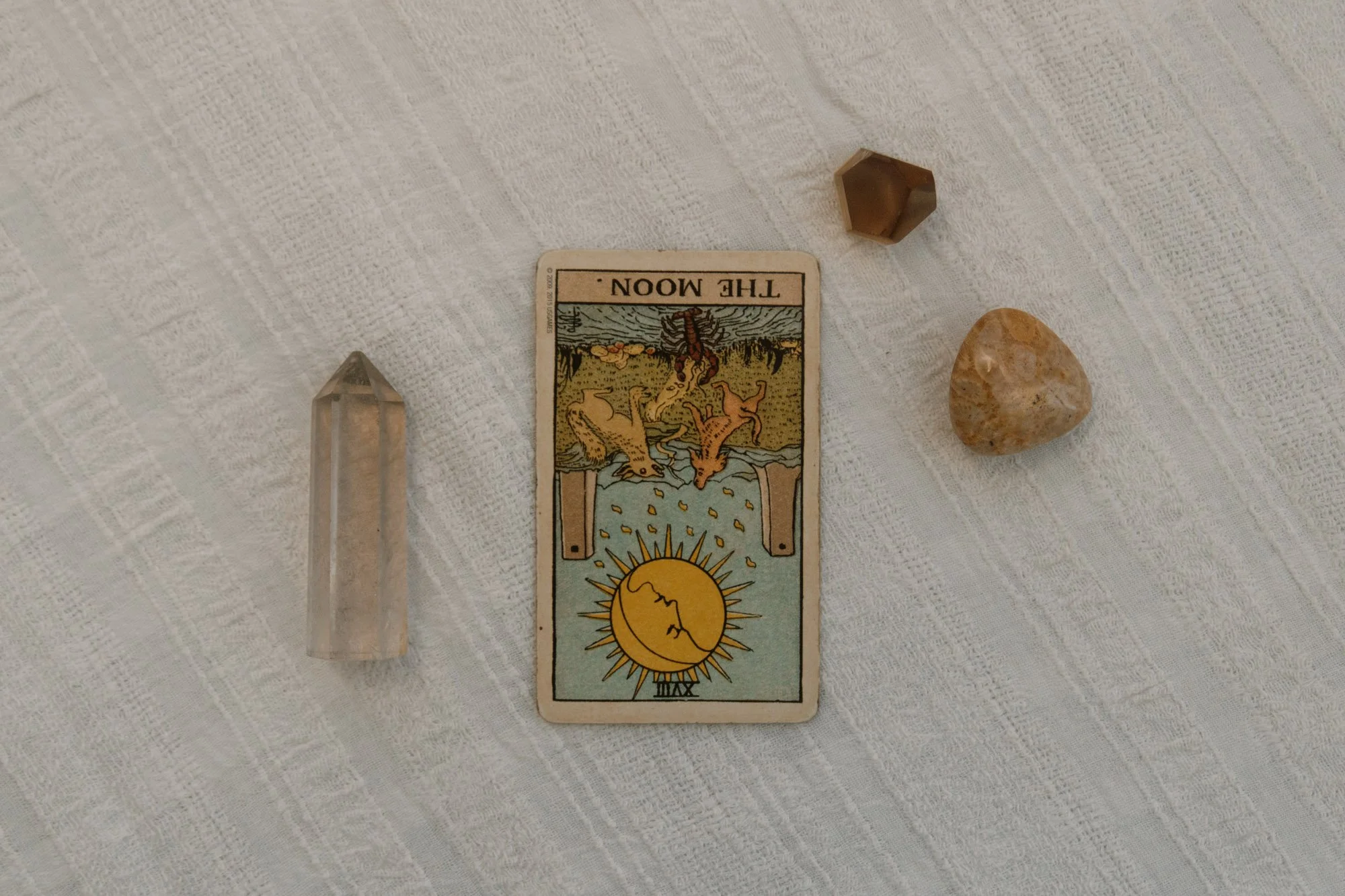 Tarot Moon Card — Two Wander x Elysium Rituals