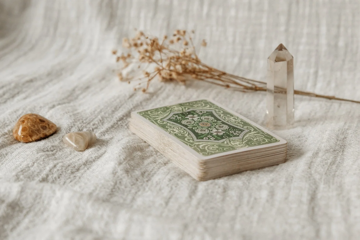 How To Read Lenormand Cards — Two Wander x Elysium Rituals