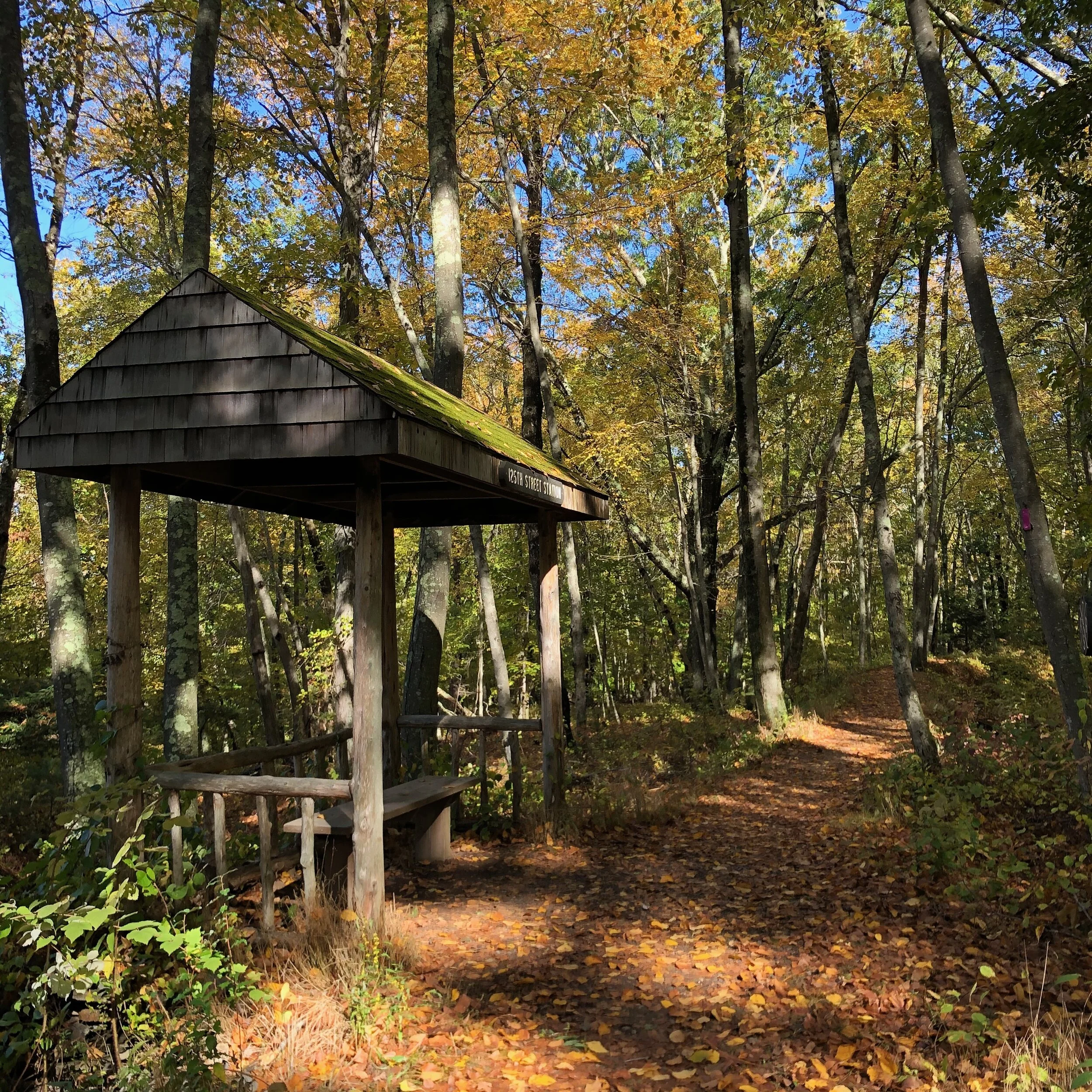 Park Info — Friends of Gillette Castle State Park