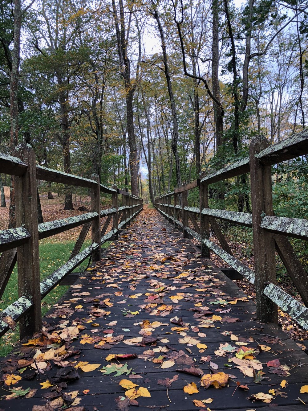 Accomplishments — Friends of Gillette Castle State Park