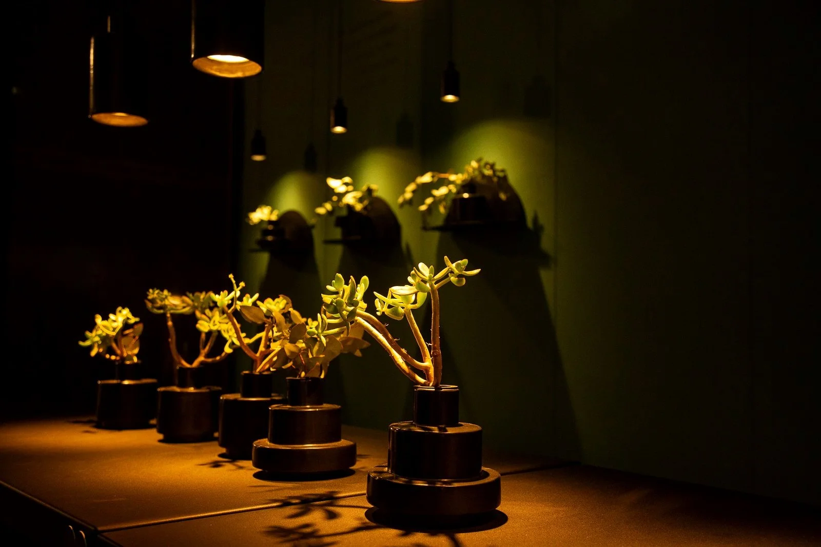 Spot Pop-Up Lighting | Reconfigurando la industria de la iluminación ...