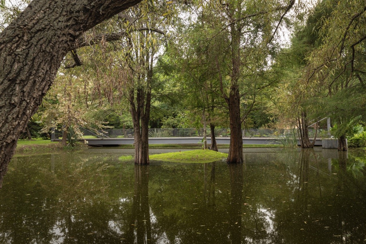 Hacienda Ojo de Agua | Elegante belleza — THECORE