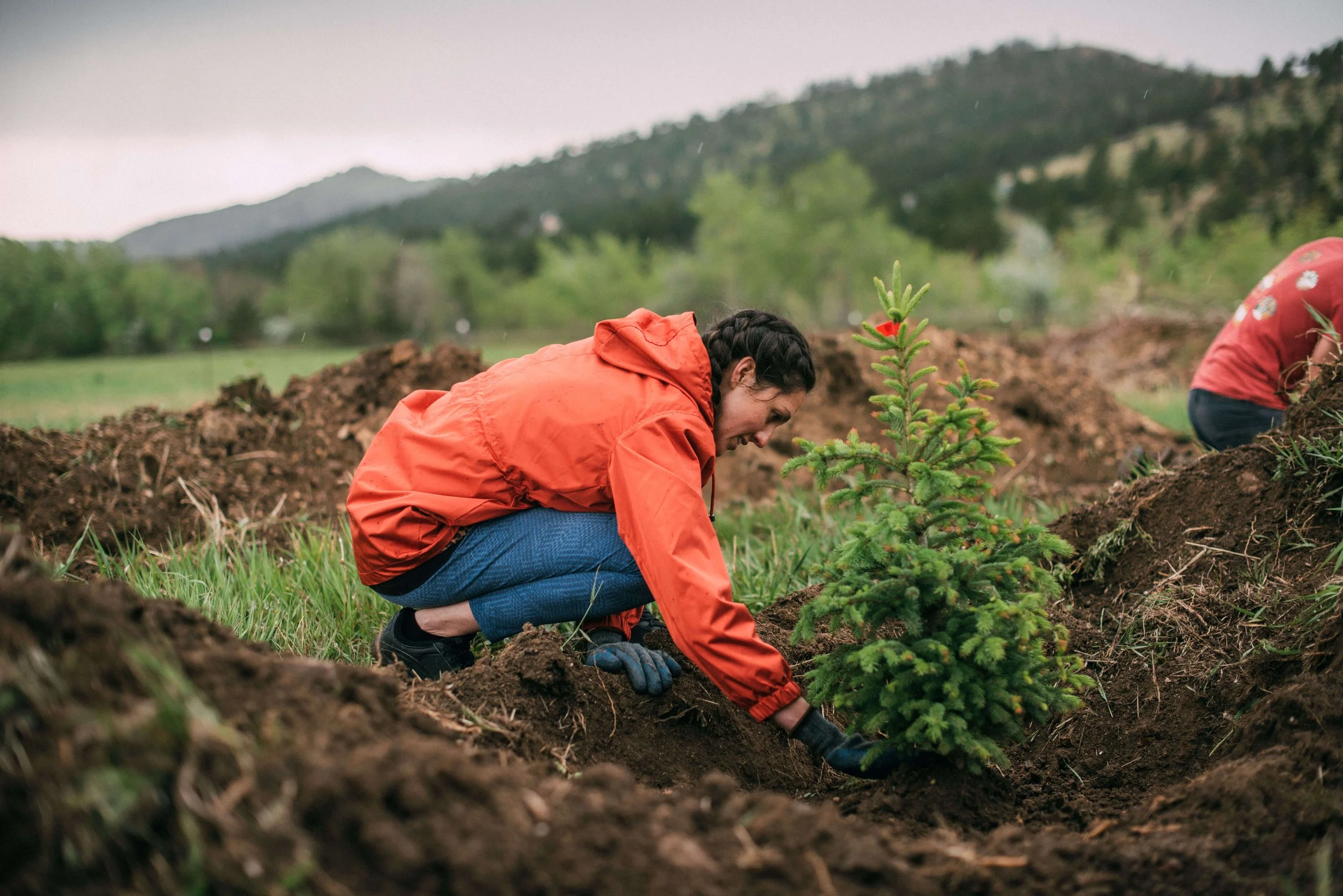 Center for Regenerative Solutions (CRS) - Accelerating Nature-Based ...