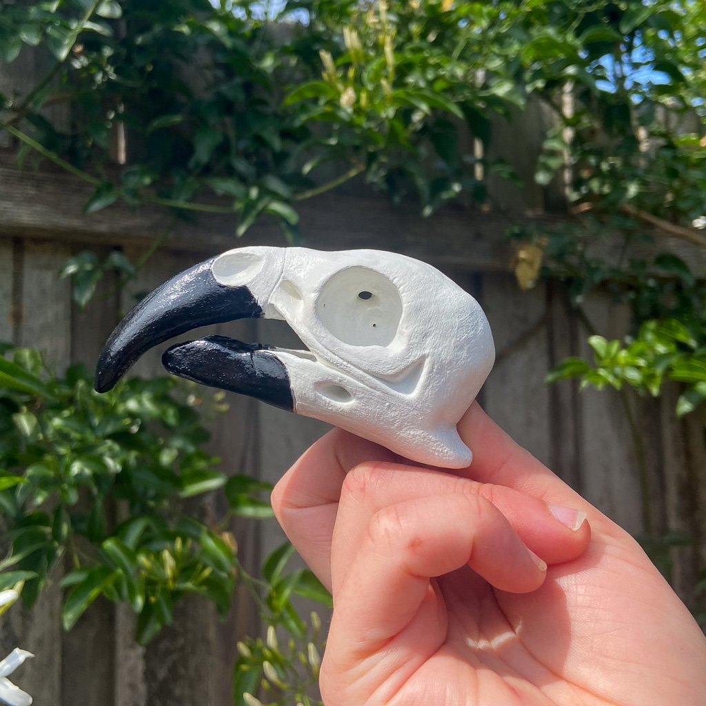 03 Ceramic New Zealand Kea Skull Sculpture — Jenna Sten Makes