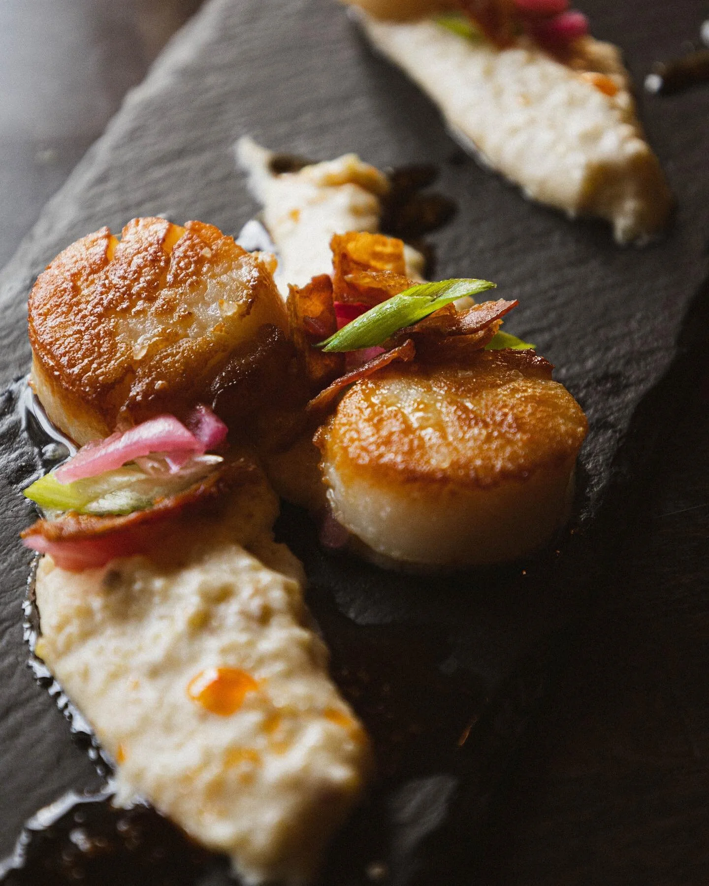 COPA I Downtown St. Petersburg