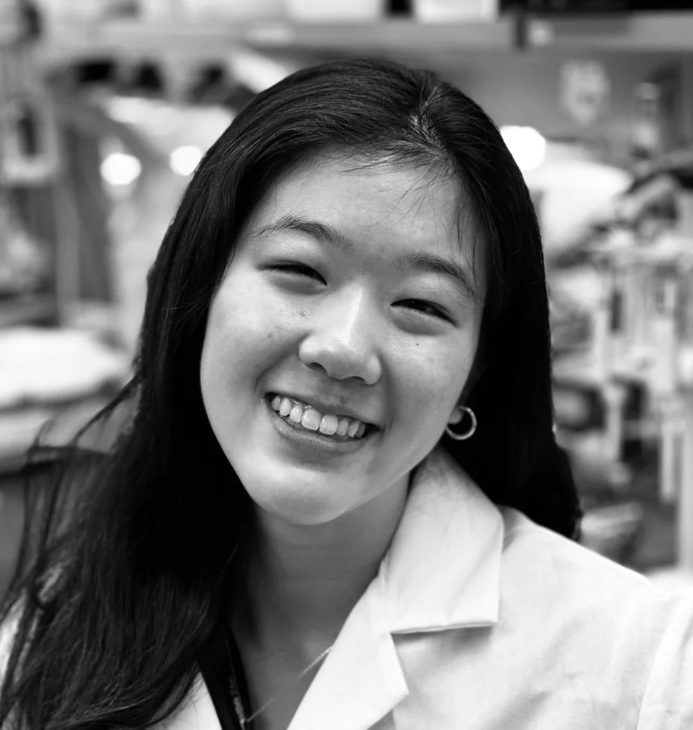 Team — Sippy Lab - NYU Langone Health