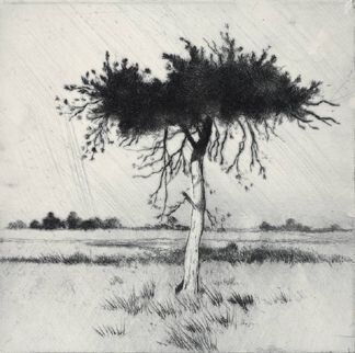 Drypoint Engraving - an introduction to Intaglio Printing — Anne Jones