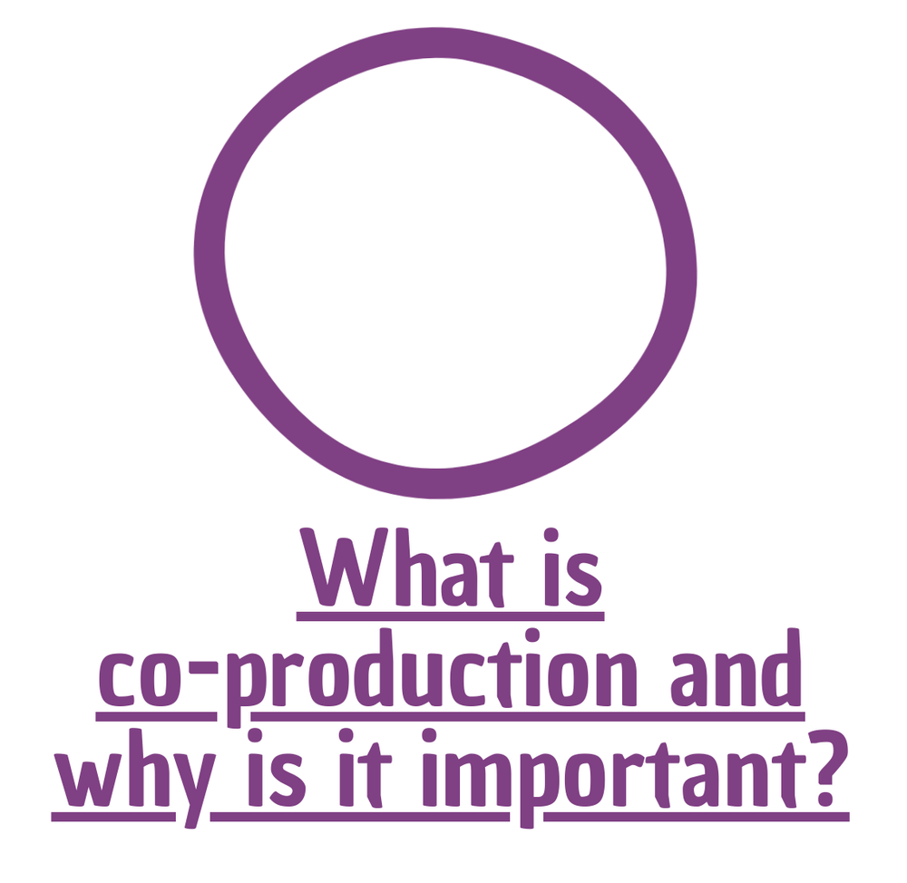Guide - what is co-production? — Scottish Co-production Network